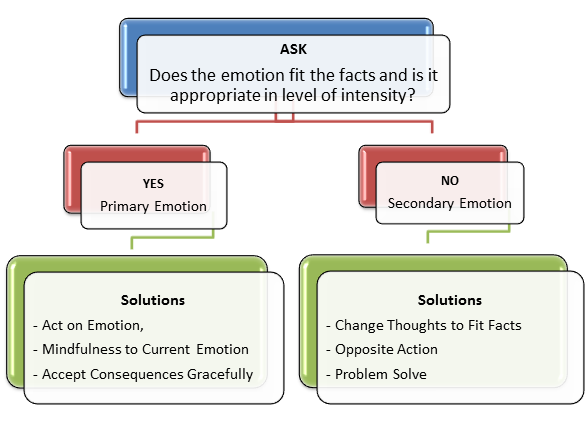 DBT Skills: Working with Primary & Secondary Emotions | DBT Informed ...